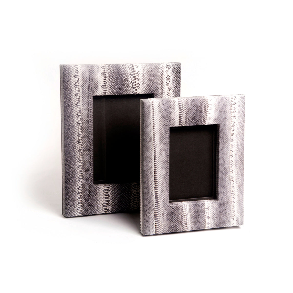 Snakeskin Frame | MooMoo Designs